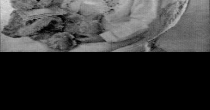 A renowned teddy bear artist in 1998; a 'dead animal meat racket' in ...