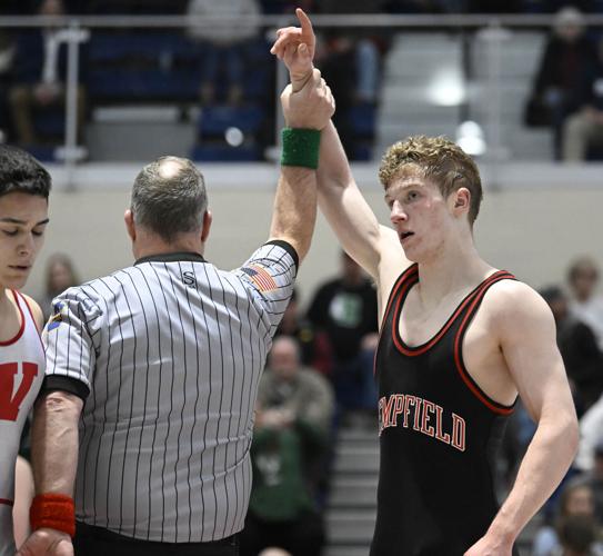 District 3 Class 3A South Central regional wrestling championships ...