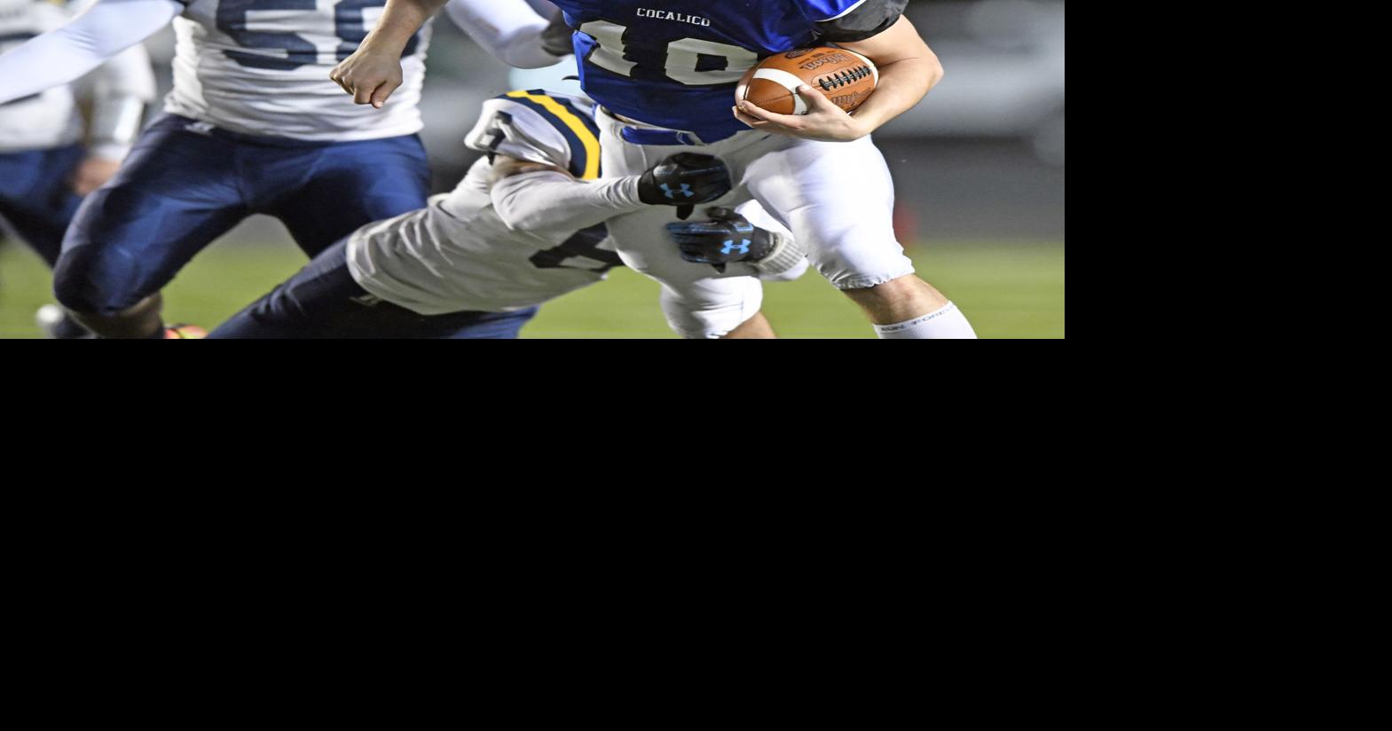 Noah Palm, Nolan Rucci pocket Manheim Touchdown Club's top L-L League ...