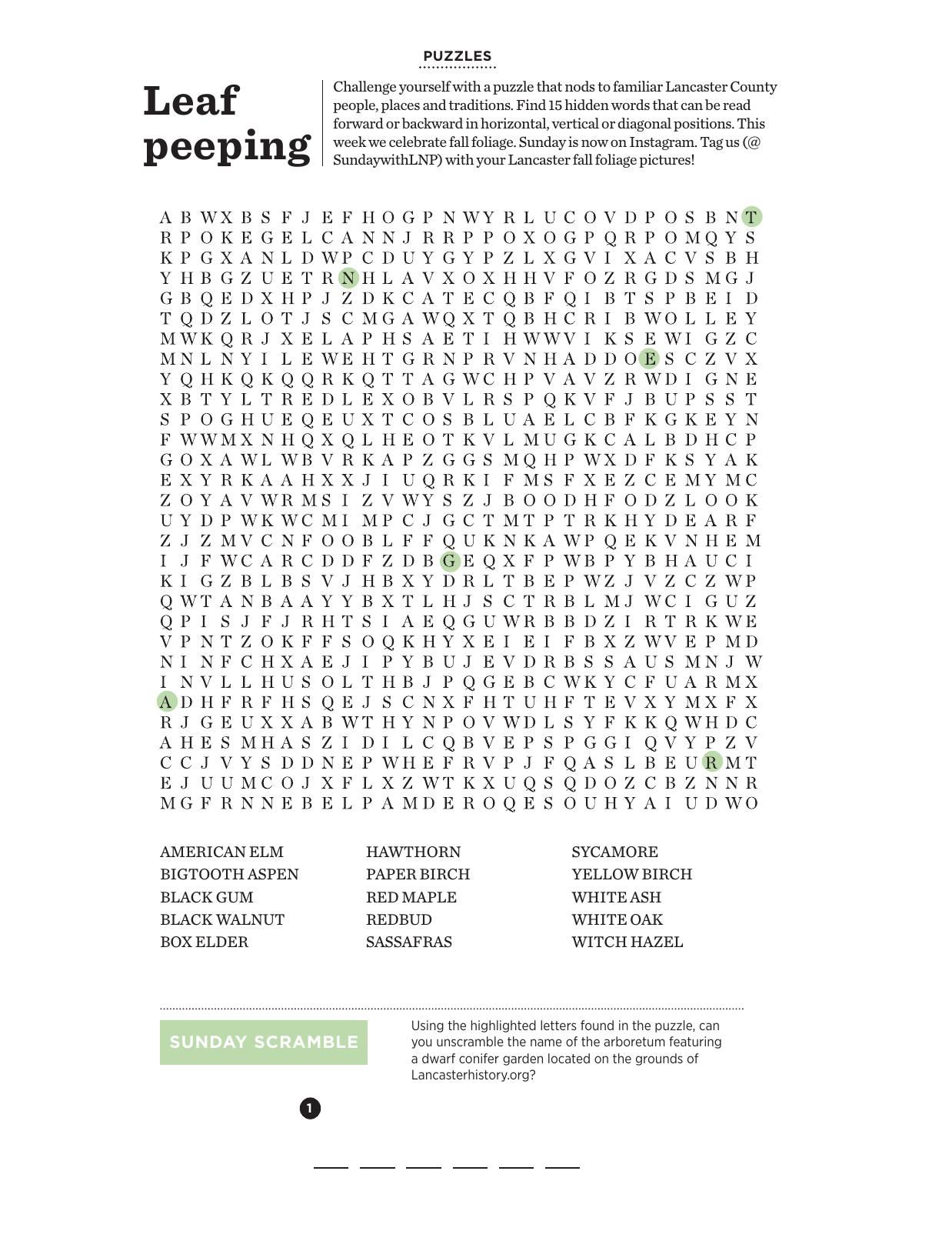 Word Search: Leaf peeping | Sunday | lancasteronline.com