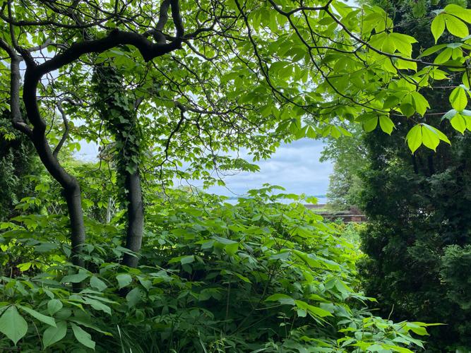 Things to do and see in historic New Castle, Delaware [photos ...