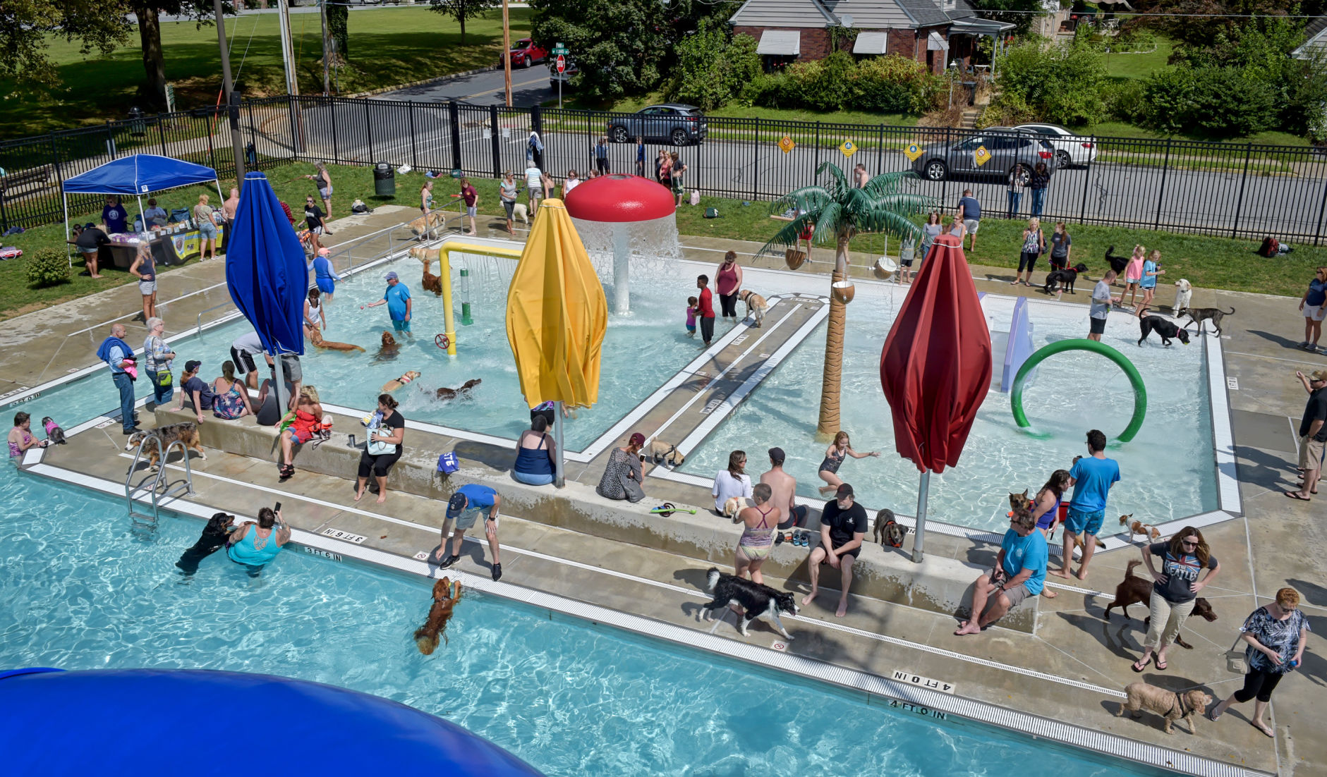 Why is it so hard to keep community pools afloat? [Lancaster Watchdog ...