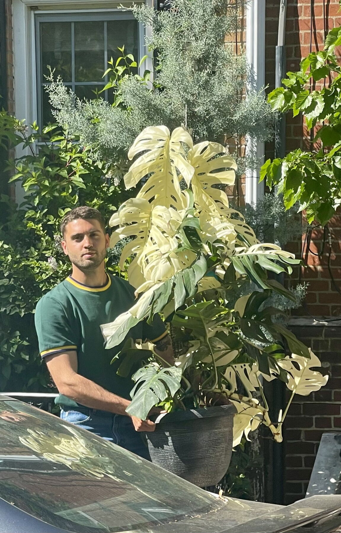 8 regional plant influencers to follow for gardening inspiration | Home ...