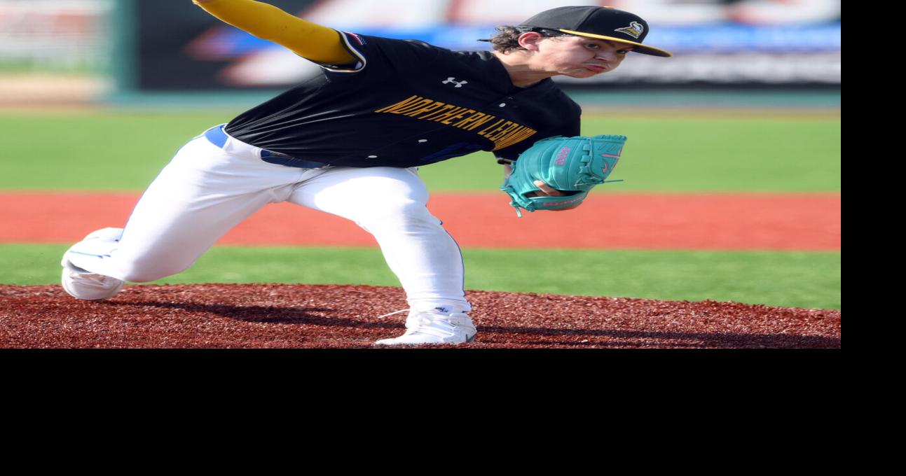 8 L-L League baseball players earn All-State honors | High School ...