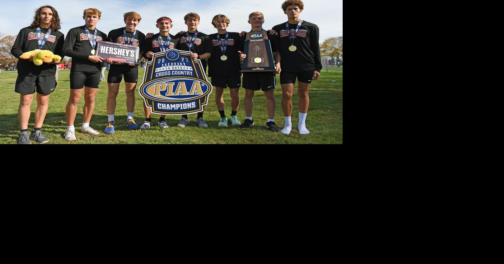Annville-Cleona boys net Class 1A team title in PIAA cross country ...