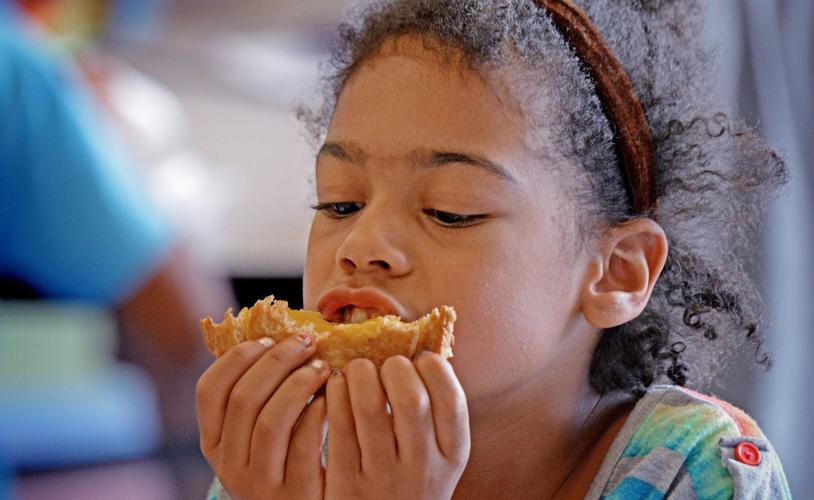 Manheim Township launches free summer lunch program at Bucher ...