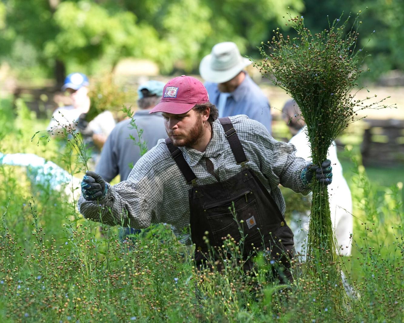 Growing a fiber revolution in Pennsylvania starts with the smallest ...