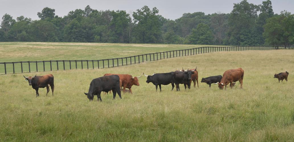 Weber family farm to become the 35,000th preserved acreage in Lancaster ...