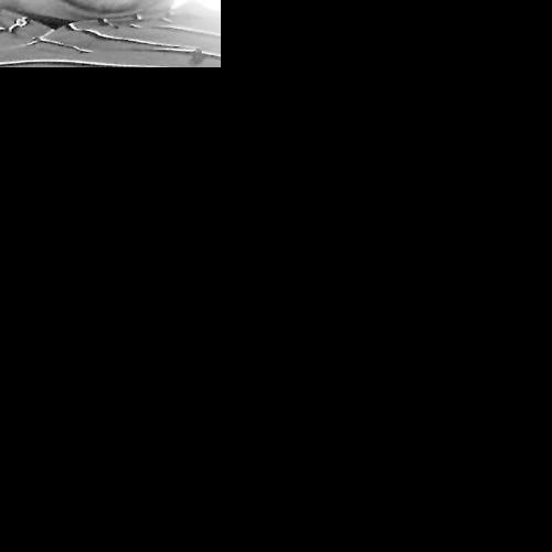 Scott Daniel Barger | Obituaries | lancasteronline.com