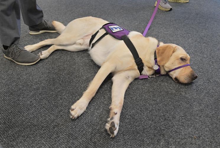 Rep. Brian Smith visits therapy dog at Bainbridge Elementary School ...