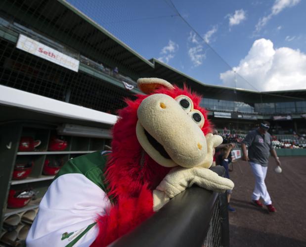 Lancaster Barnstormers first home game [photos] | Lancaster ...