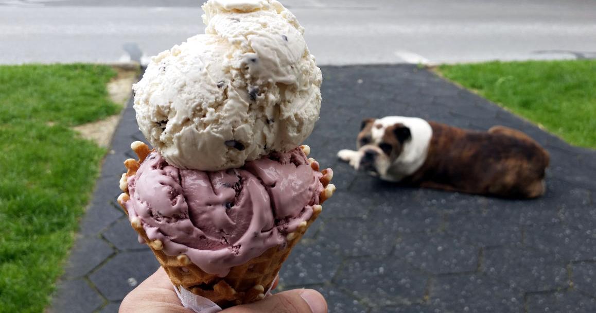 Lapp Valley Farm makes plans to expand ice cream making with 2nd ...