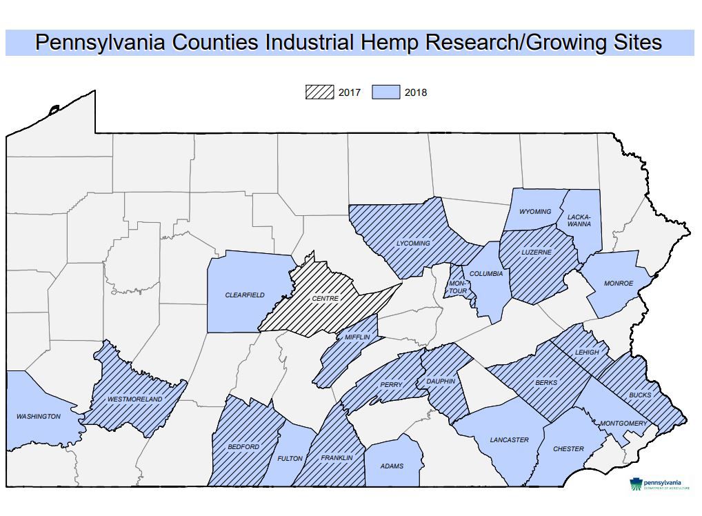Pennsylvania's top 5 hemp growers this year were all in counties ...