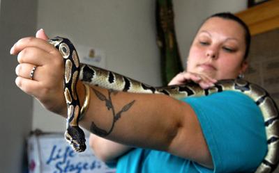 Woman bitten by python lurking in closet | News | lancasteronline.com