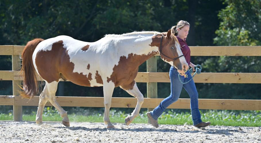 Bridlepath Equine Center [photos] | | lancasteronline.com