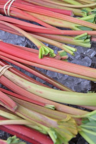 Kitchen Kettle Village holds annual Rhubarb Festival [photos] | Food ...