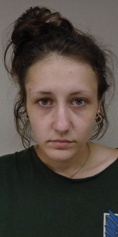 Womelsdorf woman faces multiple charges for string of thefts, drug ...