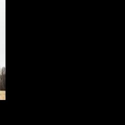 Back on the Stallion: Q&A with Aaron Freeman (aka Gene Ween) | Life ...