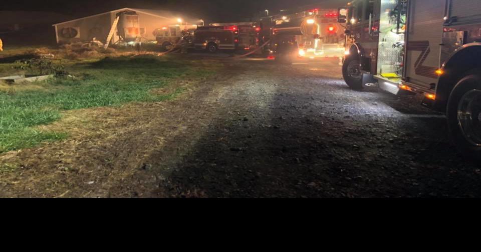 Rapho Township pig barn fire kills half-dozen pigs, causes $150K damage ...