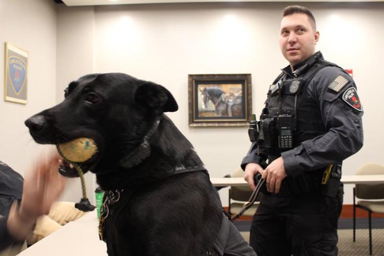 Lancaster city police horse Charlie, K9 Stryker retire | Local News ...