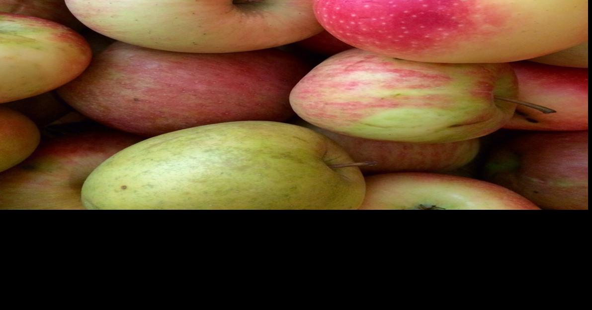 Taste an apple like you've never had before: Garden events and tips ...