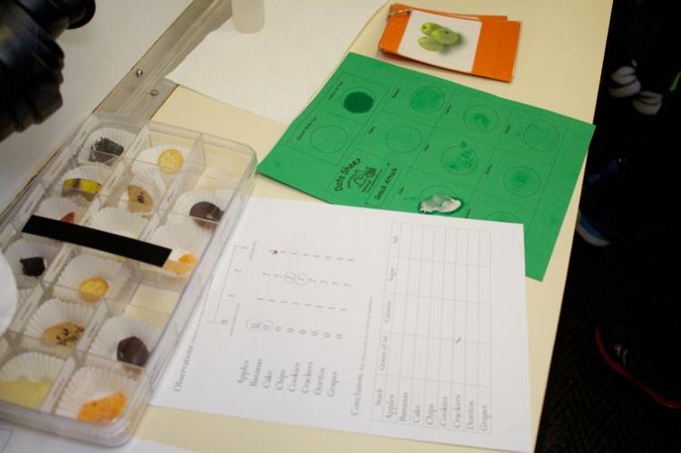 Mobile ag lab cultivates farm knowledge in Columbia | Local News ...