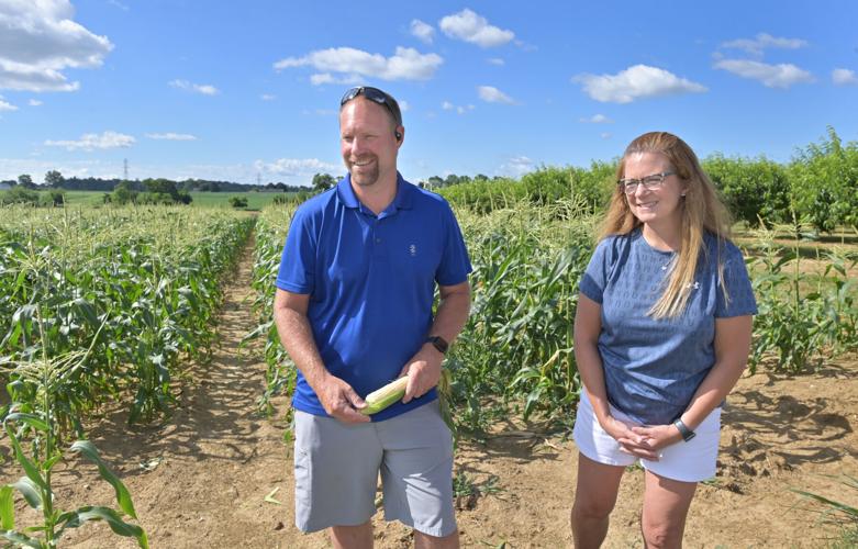 Cherry Hill Orchards are abundant with crops maturing early [photos ...