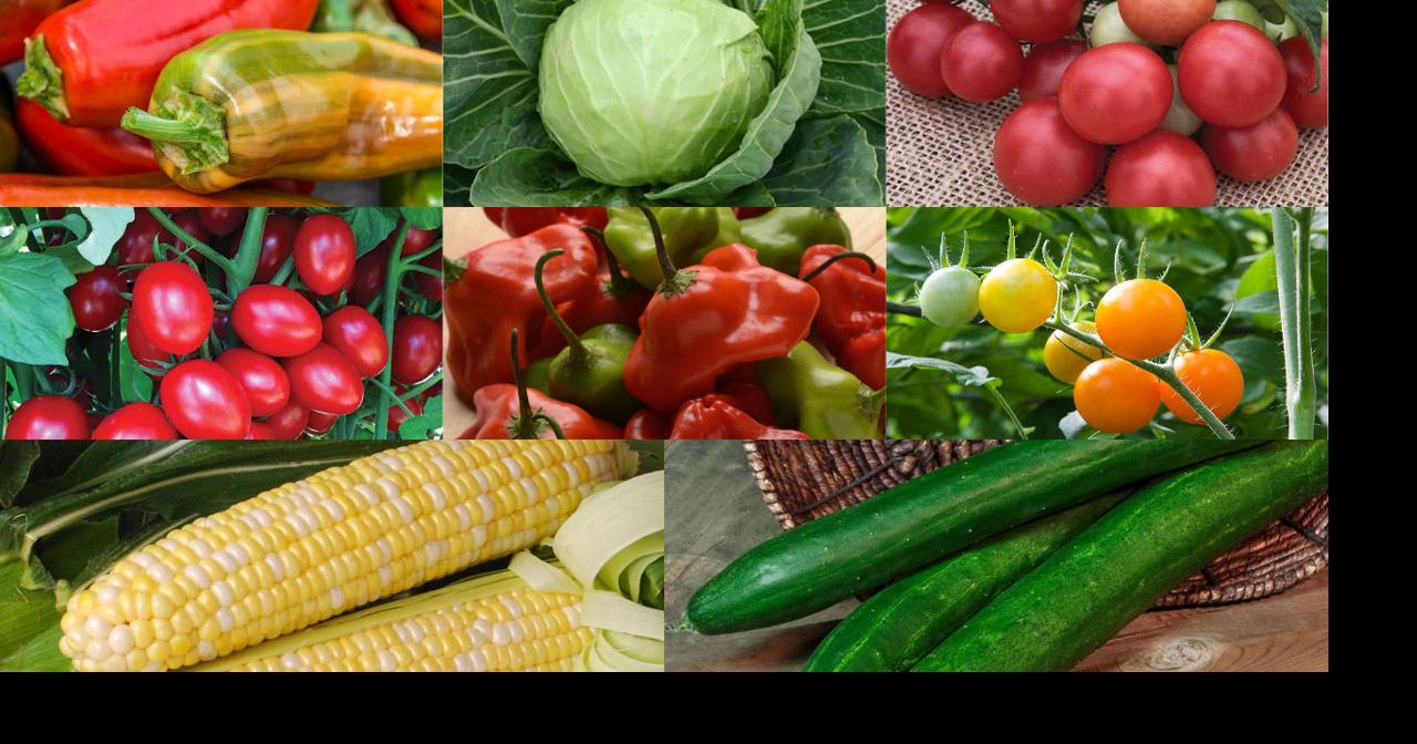 10 favorite new vegetable plants to find in Lancaster County for 2018 ...
