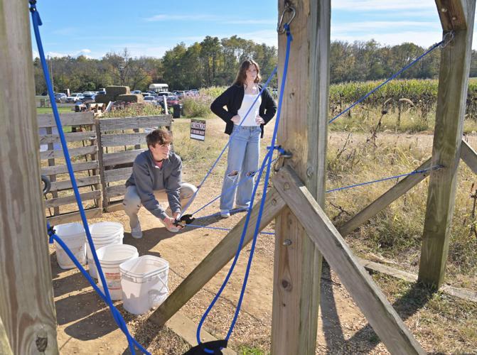 Oregon Dairy wraps up its fall season with corn maze, pumpkin chucker ...