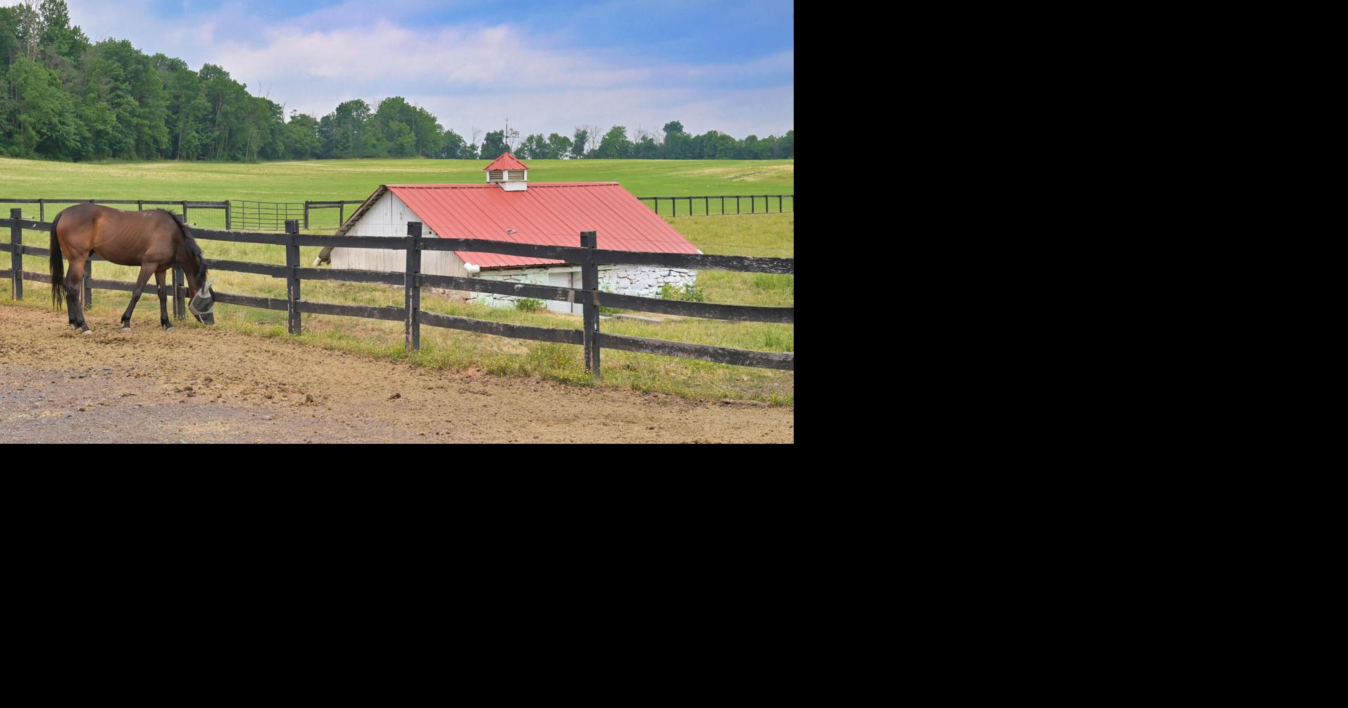 Lancaster Farmland Trust reaches 35,000 preserved acres on 35th ...