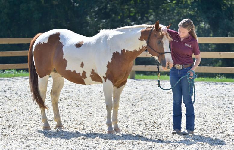 Bridlepath Equine Center [photos] | | lancasteronline.com
