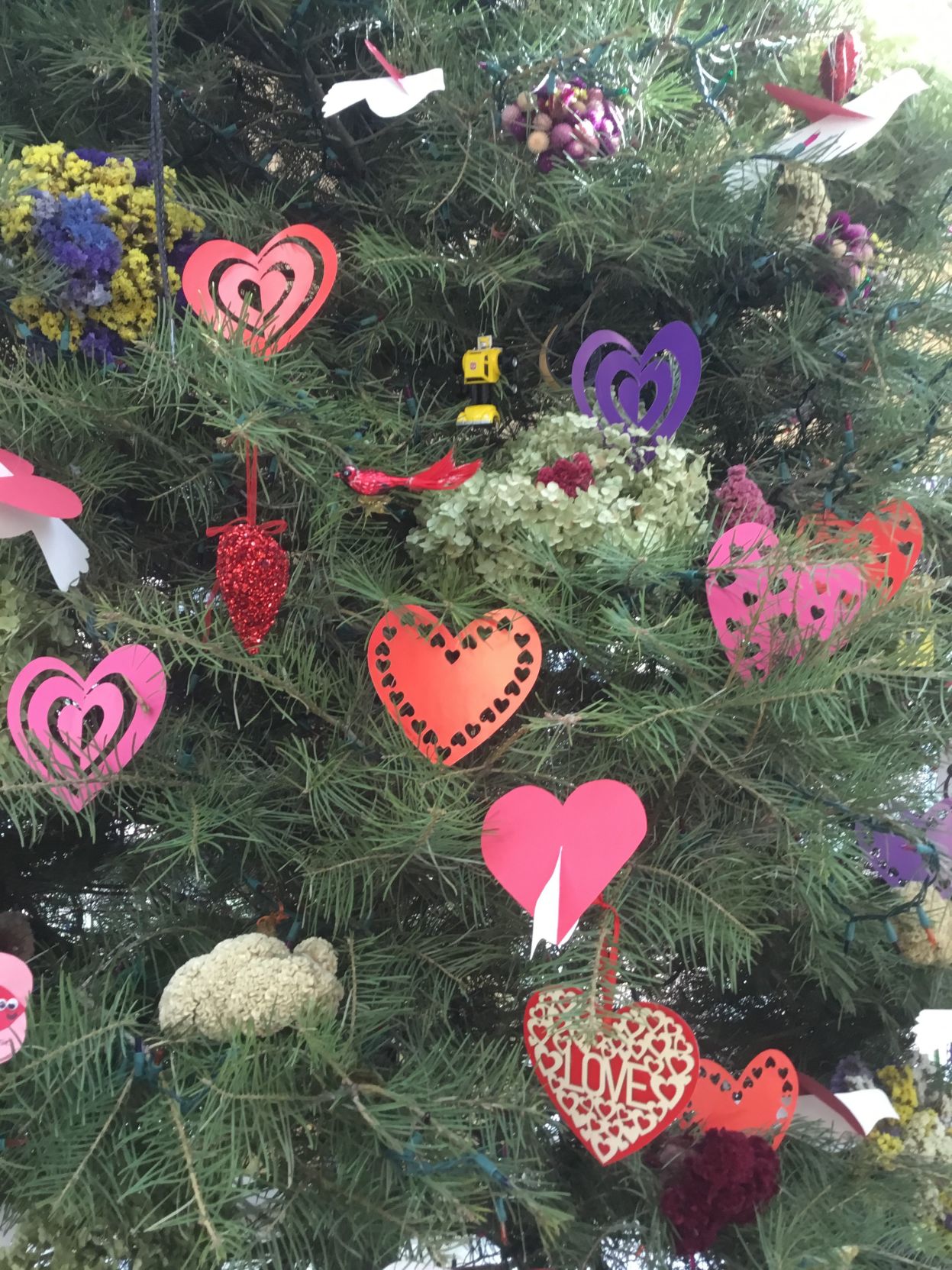 This Manheim Township man's Christmas tree is 14 feet tall, alive and ...