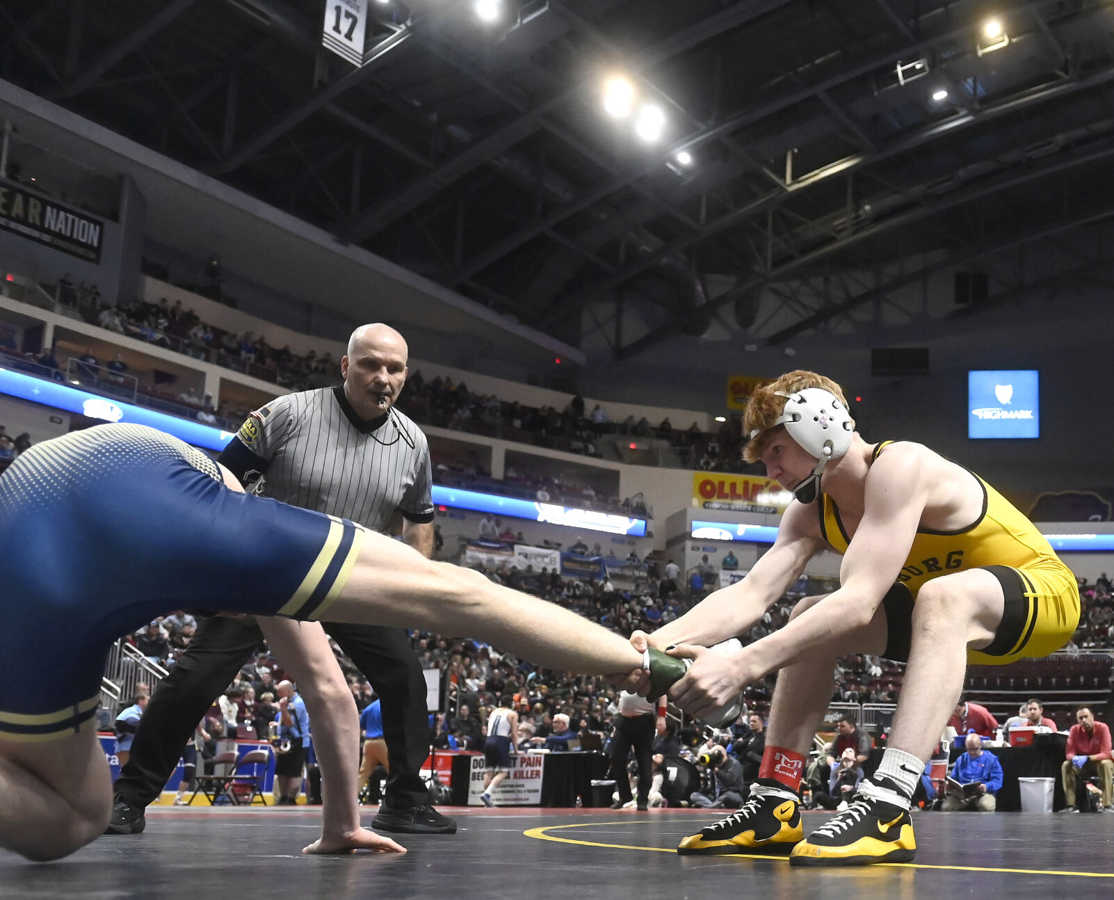 2 Northern Lebanon wrestlers, including Aaron Seidel, advance to PIAA ...