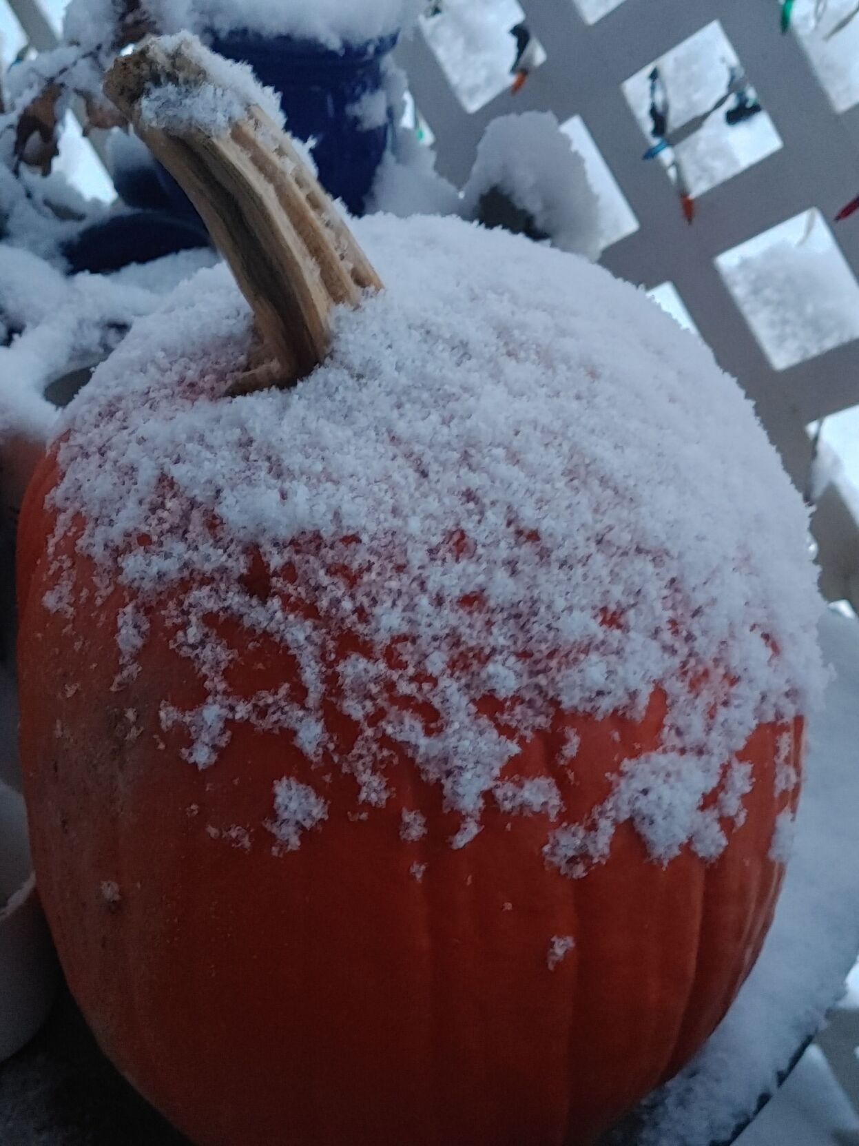 Readers share wintry sights from around Lancaster County [photos ...