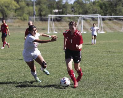 Cards aim to seize their postseason opportunity | Sports ...