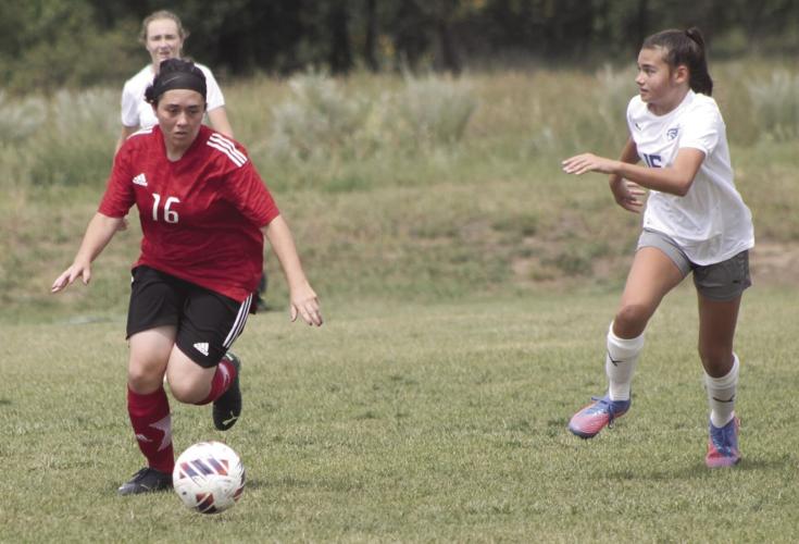 Cardinal soccer off to unbeaten start, and are striving for more ...