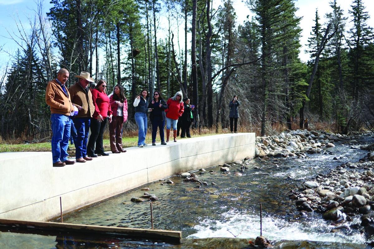 Feds offer NM counties $1M to address water contamination from flooding ...