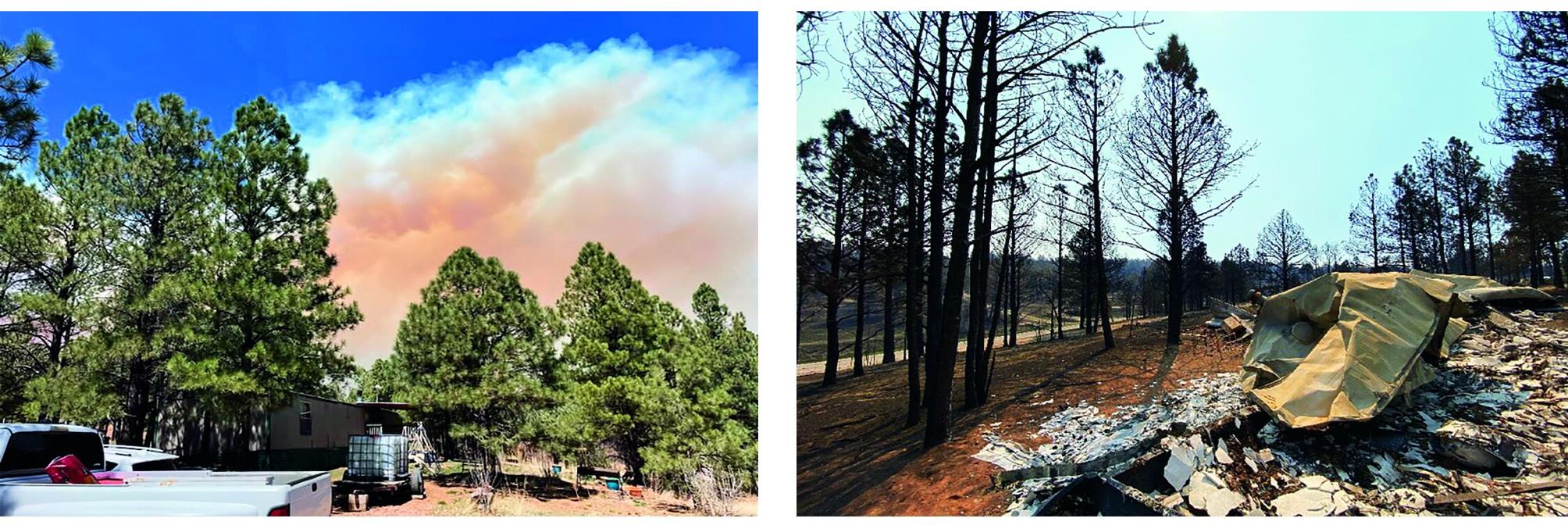 Facing Total Loss: Patrick Yardman lost home, career in New Mexico’s ...