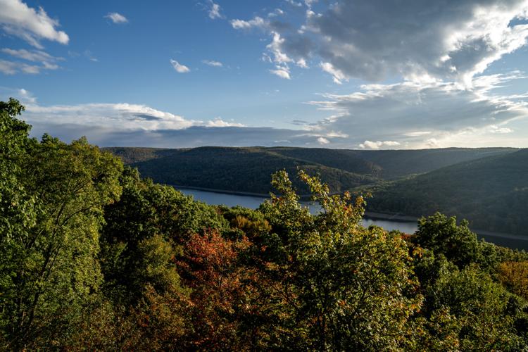 Roadless Rule repeal won’t affect Allegheny National Forest, Forest ...