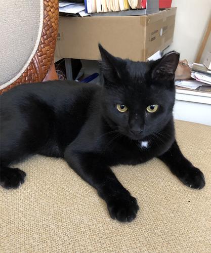 Hints From Heloise | Lifestyles | latrobebulletinnews.com