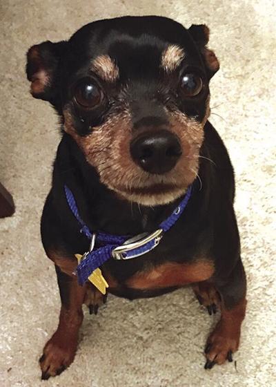 Hints From Heloise | Lifestyles | latrobebulletinnews.com