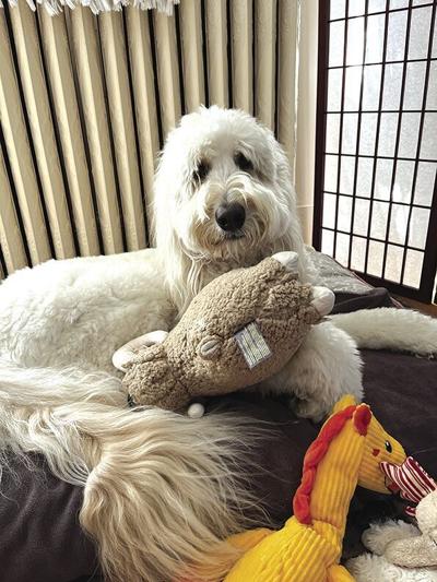 Hints From Heloise | Lifestyles | latrobebulletinnews.com