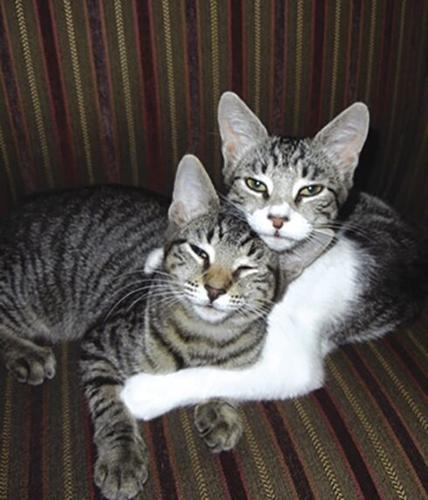 Hints From Heloise | Lifestyles | latrobebulletinnews.com