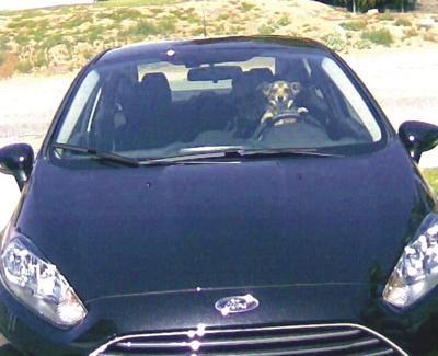 Hints From Heloise | Lifestyles | latrobebulletinnews.com