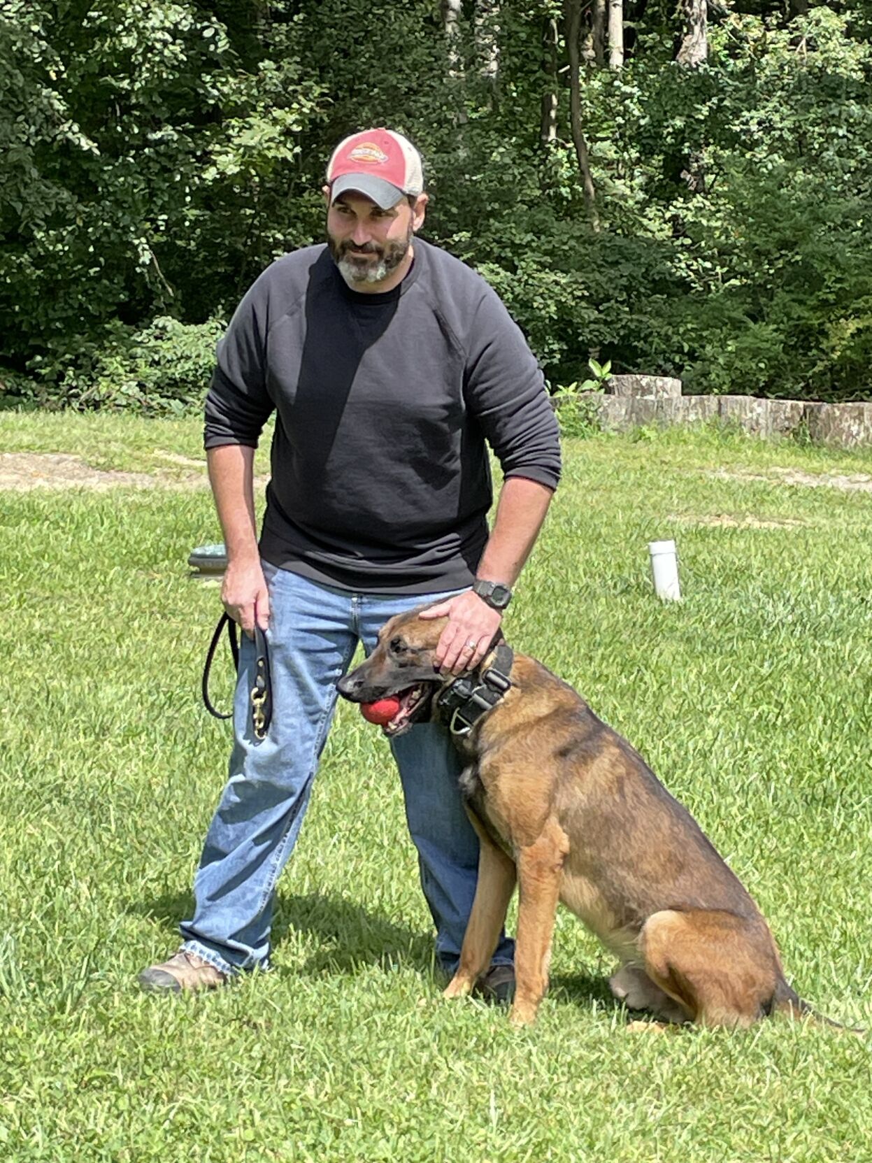 Jeannette bringing back K-9 program | Local News | latrobebulletinnews.com