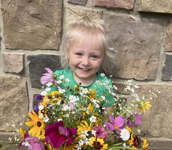 Sunflower memories turn into family venture | Local News ...