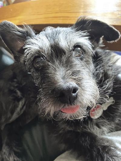 Hints From Heloise | Lifestyles | latrobebulletinnews.com