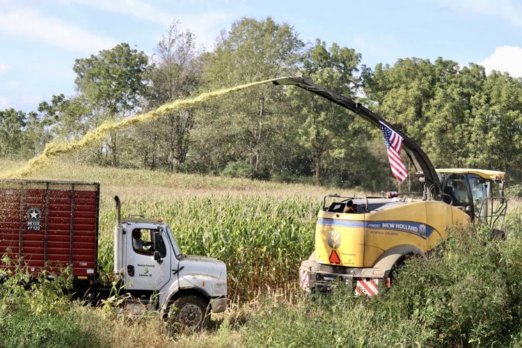 Matson Farms celebrating Agriculture Appreciation Day | Local News ...