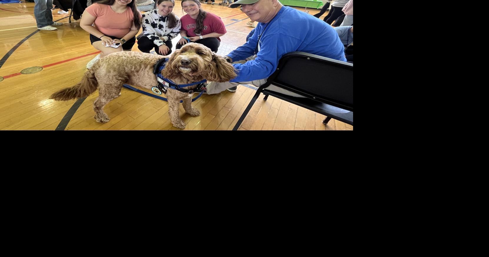 Greater Latrobe hosts Wildcat Wellness Day | Education | latrobebulletinnews.com