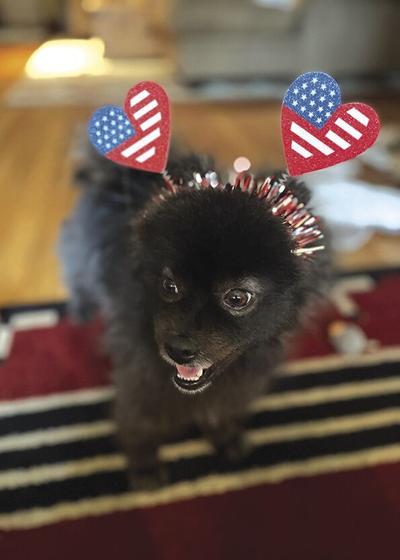 Hints From Heloise | Lifestyles | latrobebulletinnews.com